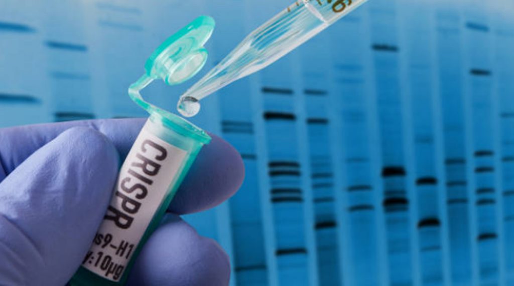 CRISPR DIY - biohacking genes at home - Biology Online Archive Article