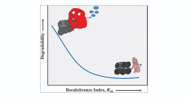 Recalcitrant - Definition and Examples - Biology Online Dictionary
