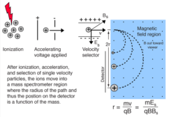 Ion - Definition and Examples - Biology Online Dictionary