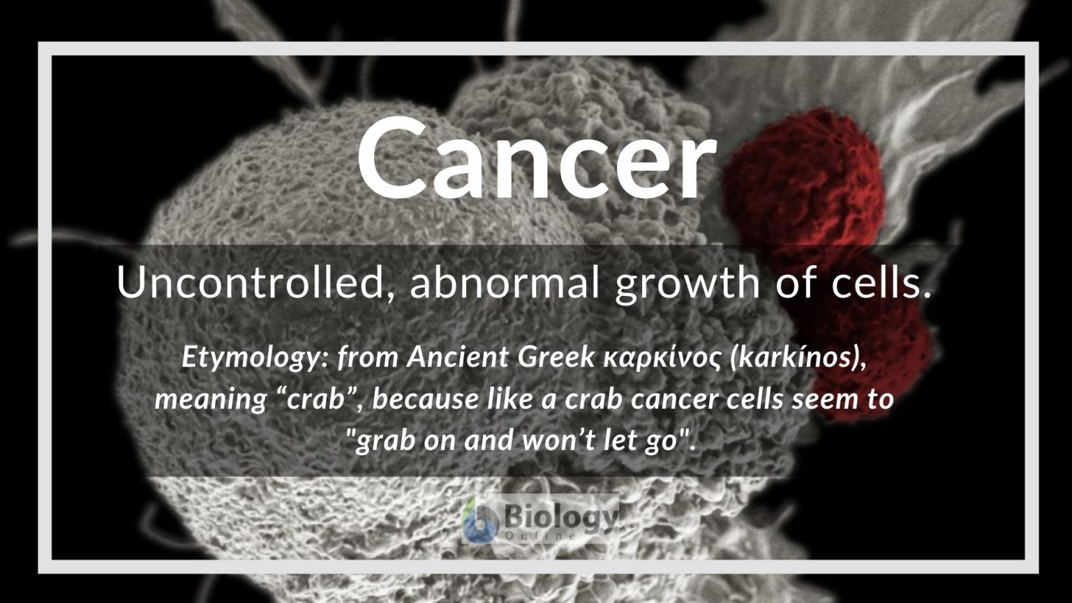 Cancer Definition and Examples - Biology Online Dictionary