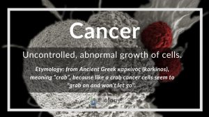 Cancer Definition and Examples - Biology Online Dictionary
