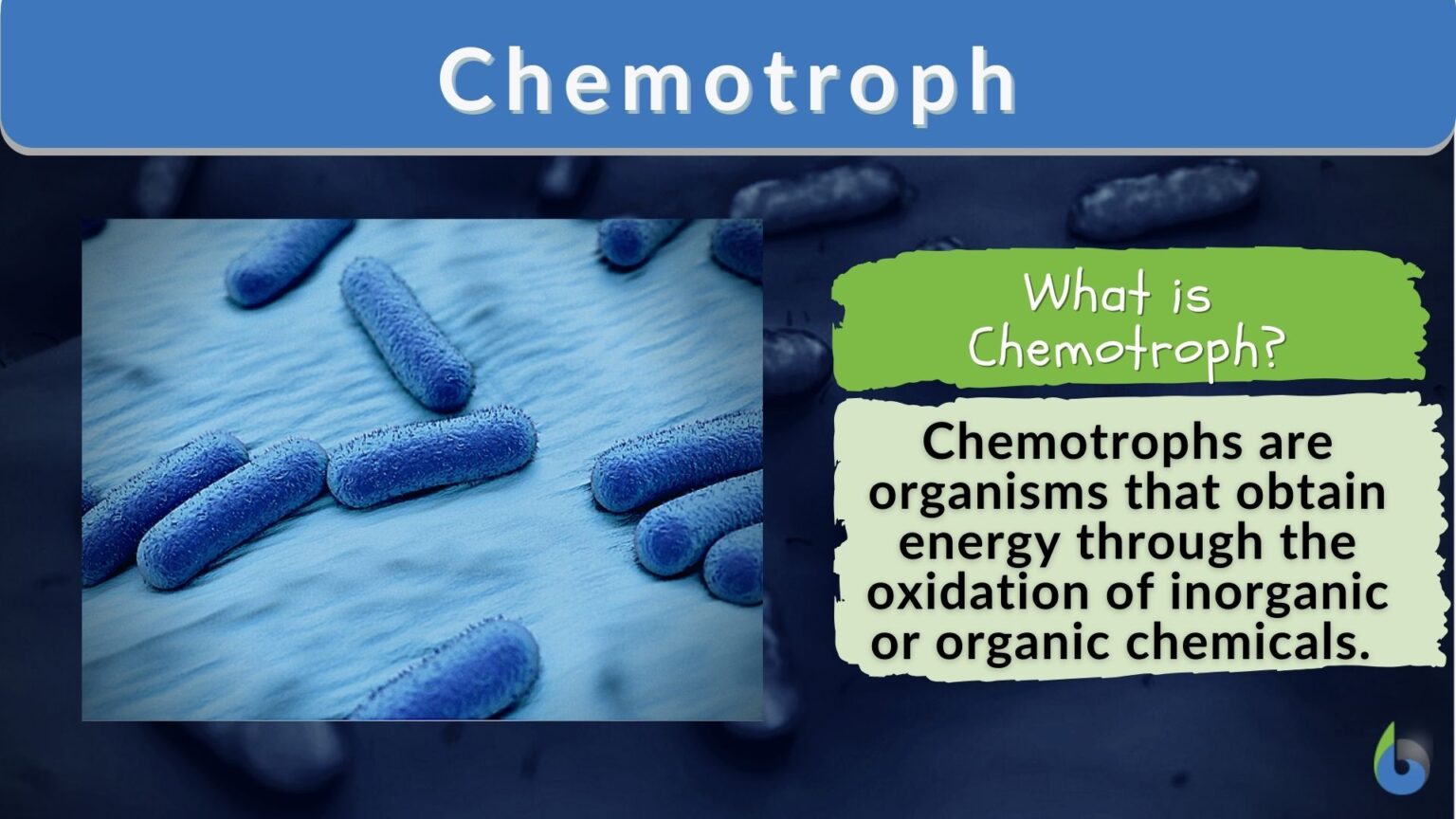 Chemotroph - Definition and Examples - Biology Online Dictionary