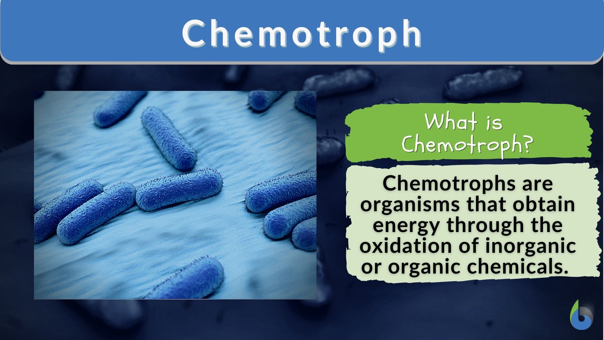 Chemotroph - Definition and Examples - Biology Online Dictionary