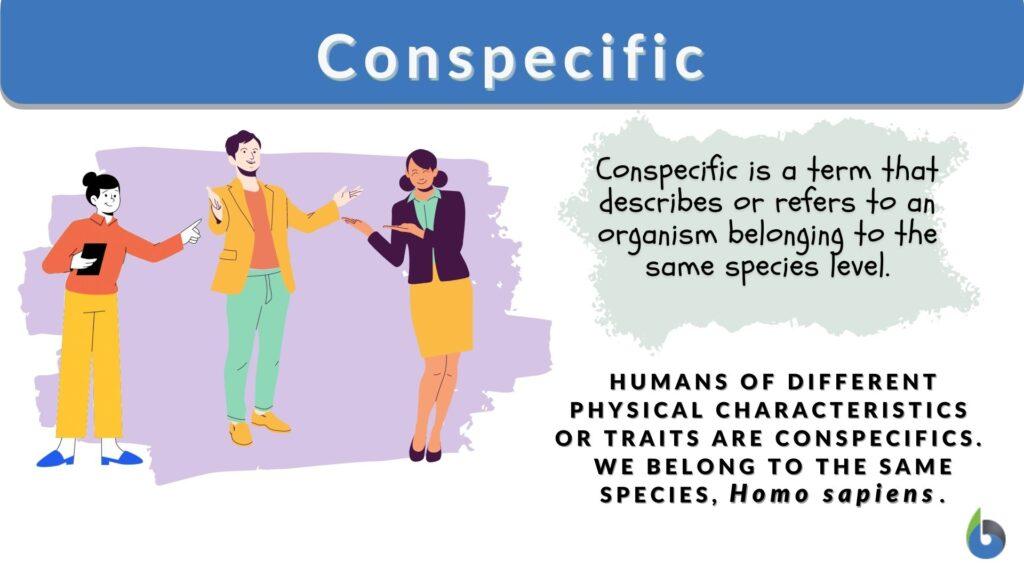 Conspecific - Definition and Examples - Biology Online Dictionary
