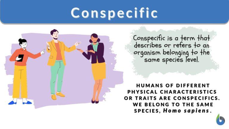 Conspecific - Definition and Examples - Biology Online Dictionary