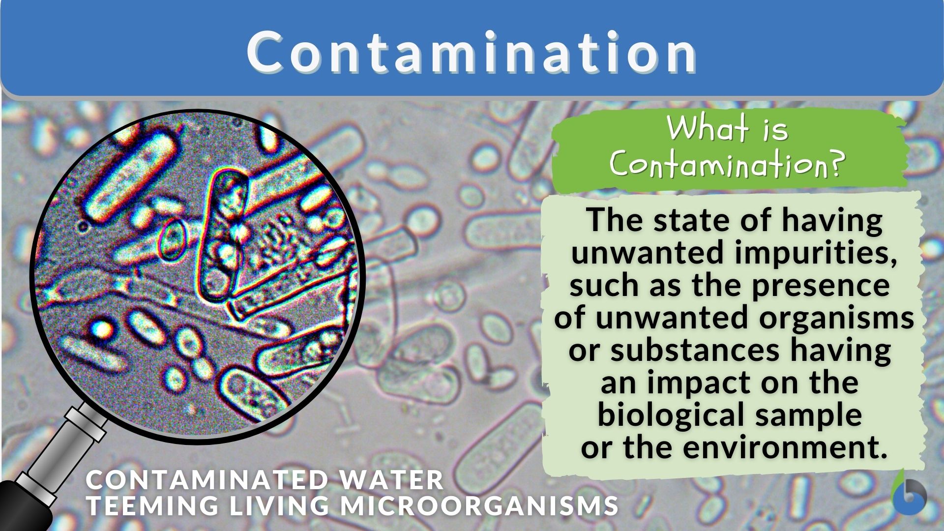 Contaminated Contaminated