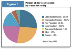 Inbreeding - Definition and Examples - Biology Online Dictionary