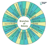 Botany - Definition and Examples - Biology Online Dictionary