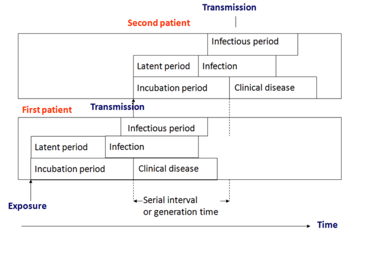 Incubation period Definition and Examples - Biology Online Dictionary
