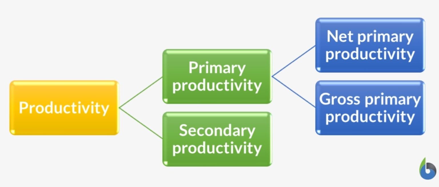 Net primary productivity - Definition and Examples - Biology Online ...