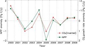 Primary productivity Definition and Examples - Biology Online Dictionary