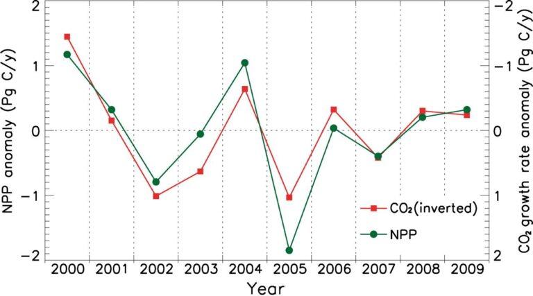 Primary productivity Definition and Examples - Biology Online Dictionary
