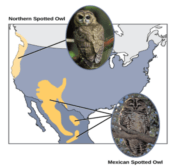 Allopatric speciation - Definition and Examples - Biology Online Dictionary