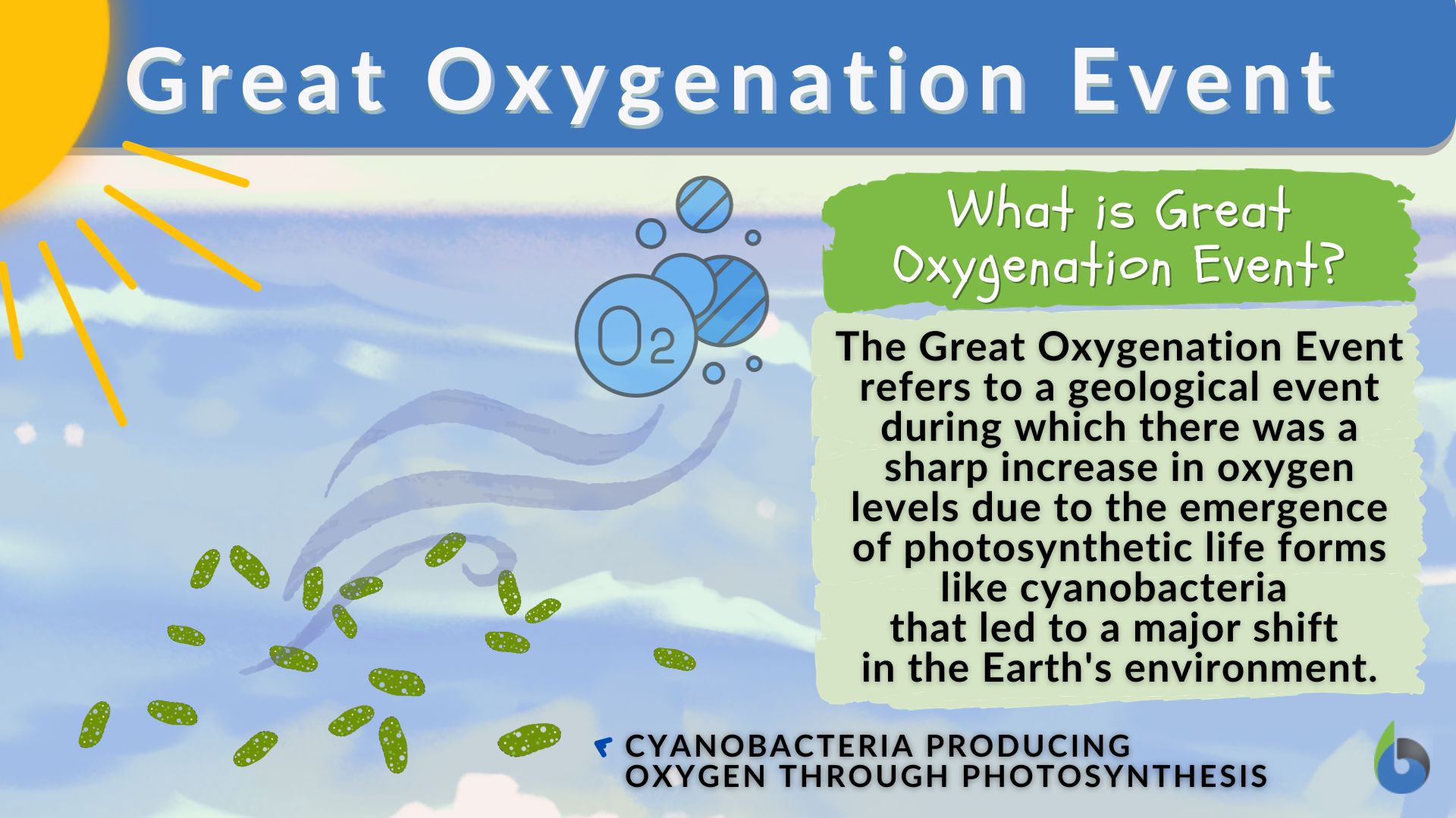Transition Between Photosynthesis And Respiration Transition Between Photosynthesis And Respiration