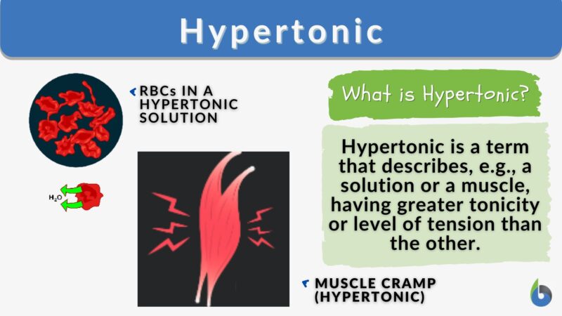 Hypertonic - Definition and Examples - Biology Online Dictionary