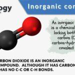 Inorganic compound - Definition and Examples - Biology Online Dictionary