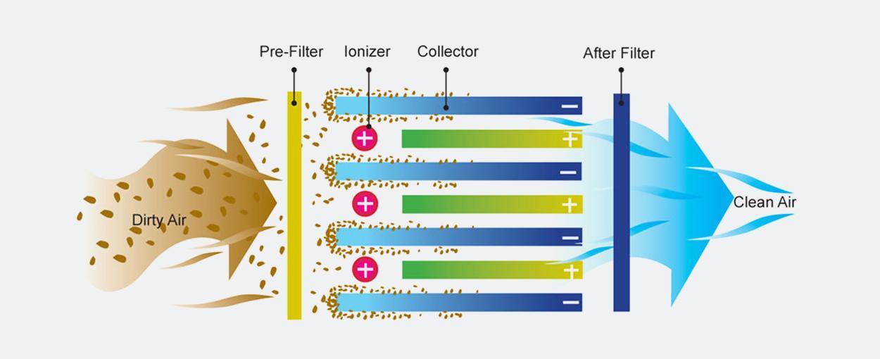 Ion - Definition and Examples - Biology Online Dictionary