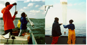 Primary productivity Definition and Examples - Biology Online Dictionary