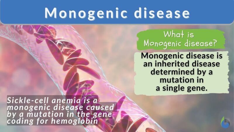 Monogenic disease - Definition and Examples - Biology Online Dictionary