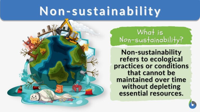 Non-sustainability - Definition and Examples - Biology Online Dictionary