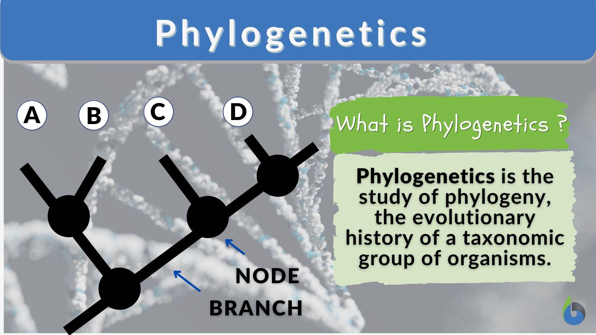 Simple Tree Of Life Biology