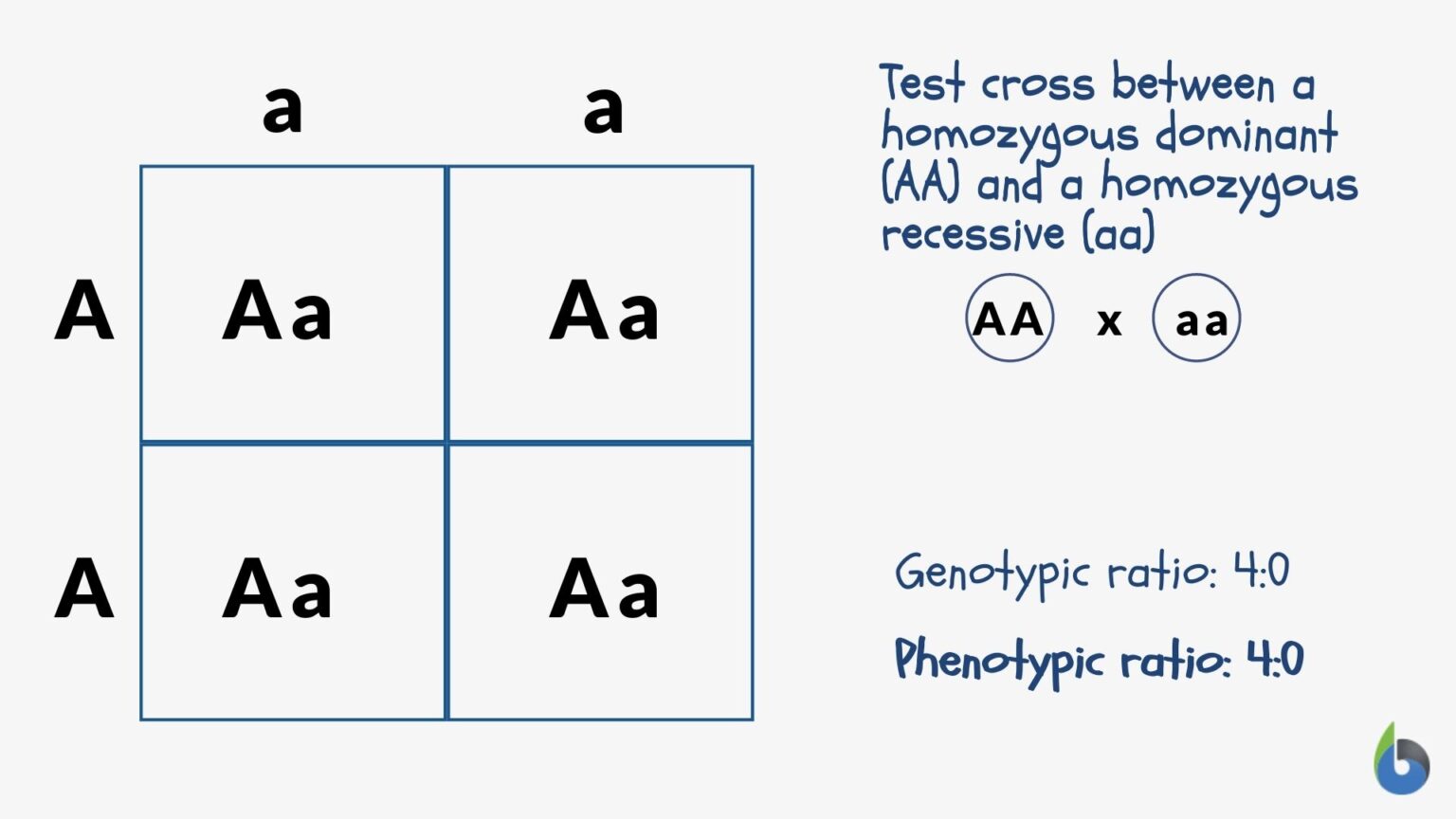 Phenotypic Ratio Definition And Examples Biology Online Dictionary
