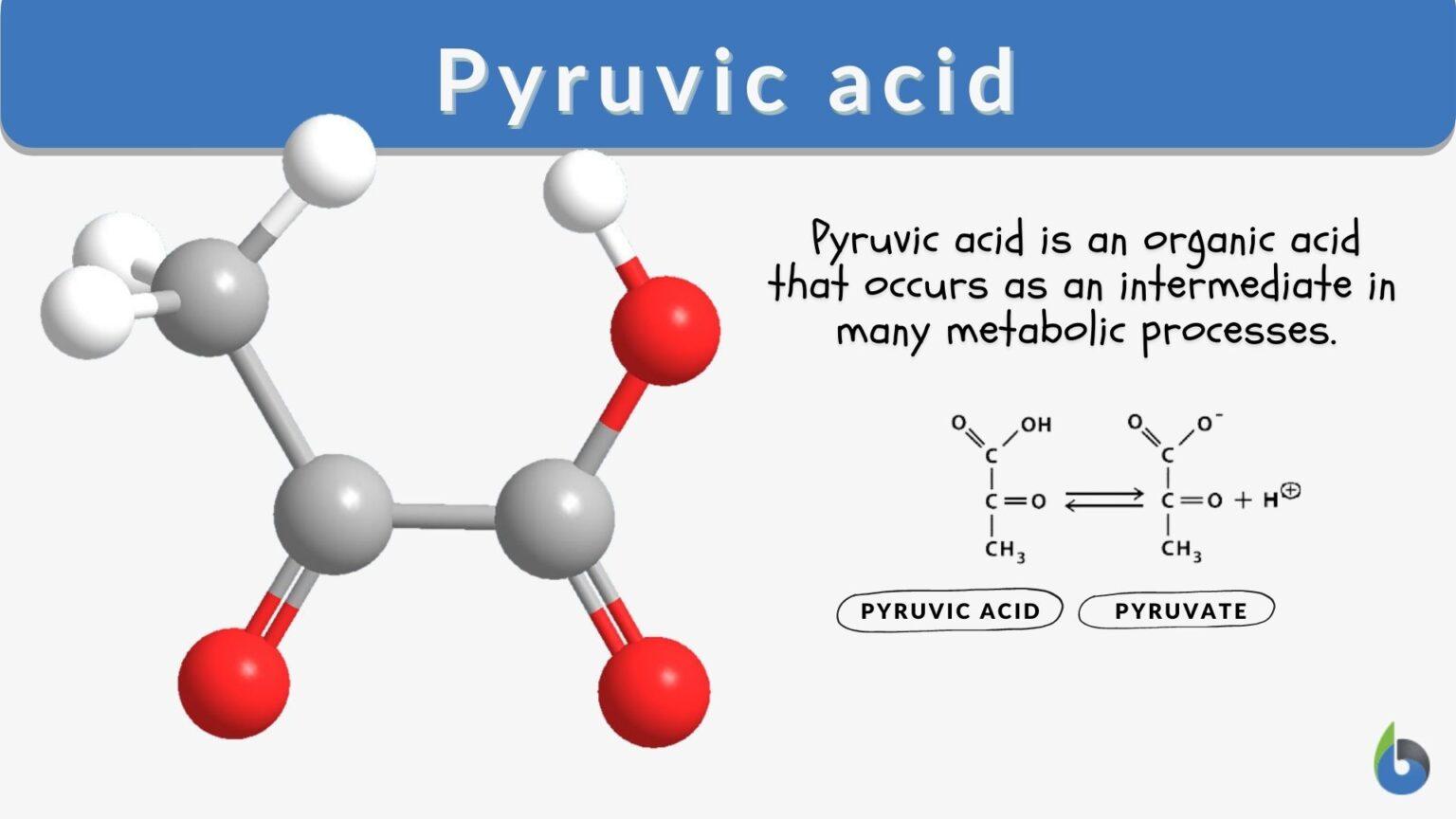 Pyruvic acid Definition and Examples - Biology Online Dictionary