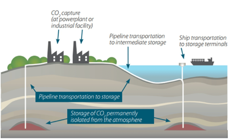 Carbon Definition and Examples - Biology Online Dictionary