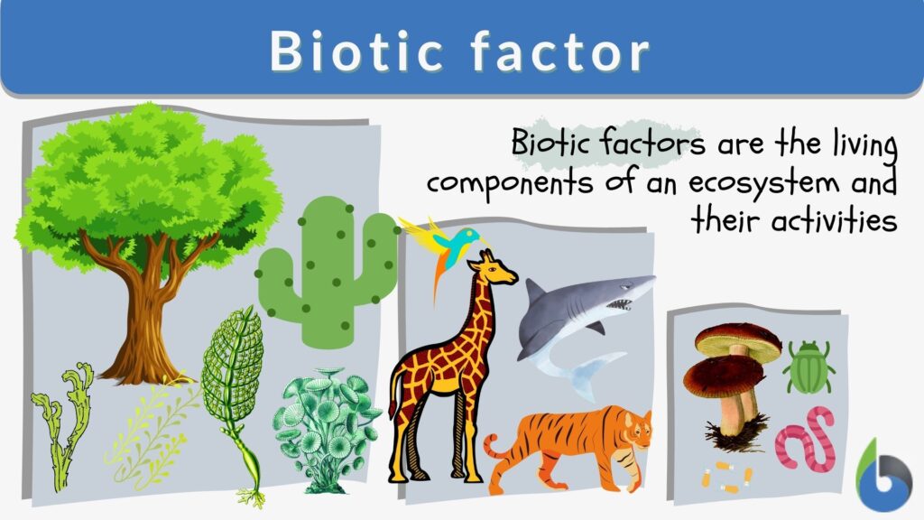 Biotic factor - Definition and Examples - Biology Online Dictionary