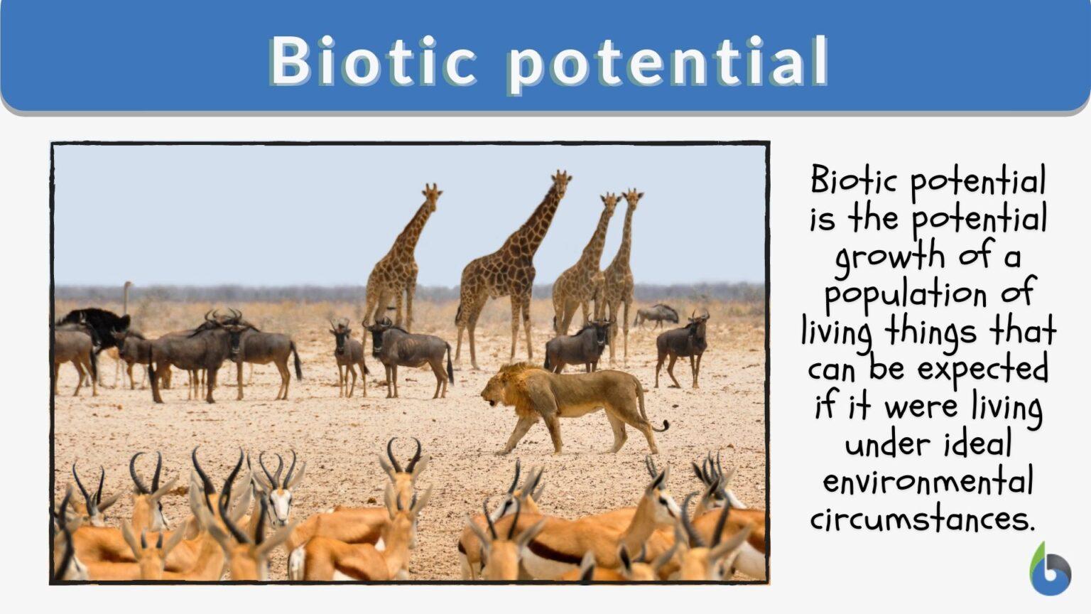 Biotic potential Definition and Examples - Biology Online Dictionary