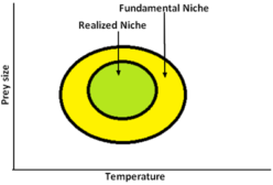 Realized niche Definition and Examples - Biology Online Dictionary
