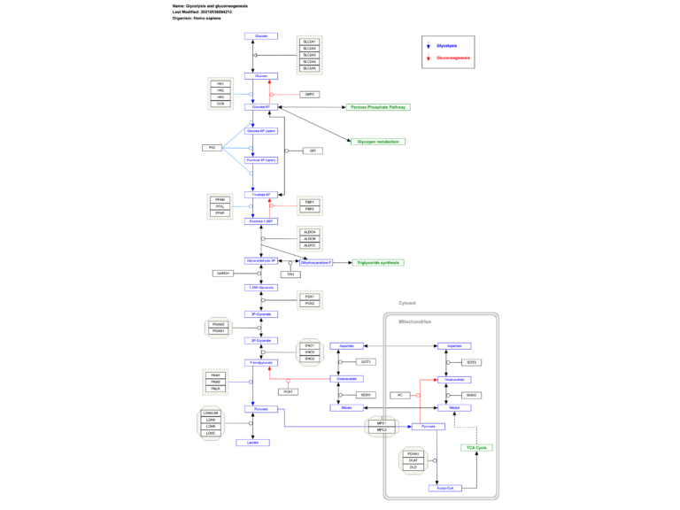 Aspartate - Definition and Examples - Biology Online Dictionary