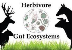 Herbivore - Definition and Examples - Biology Online Dictionary
