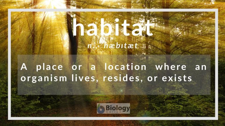 Habitat Definition and Examples - Biology Online Dictionary