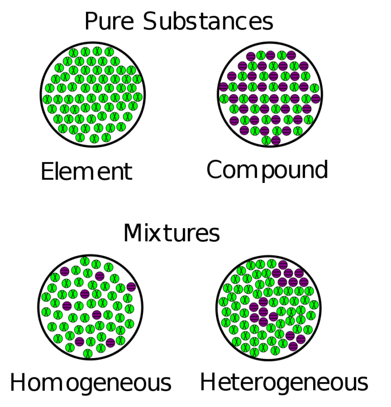 Homogenous - Definition and Examples - Biology Online Dictionary
