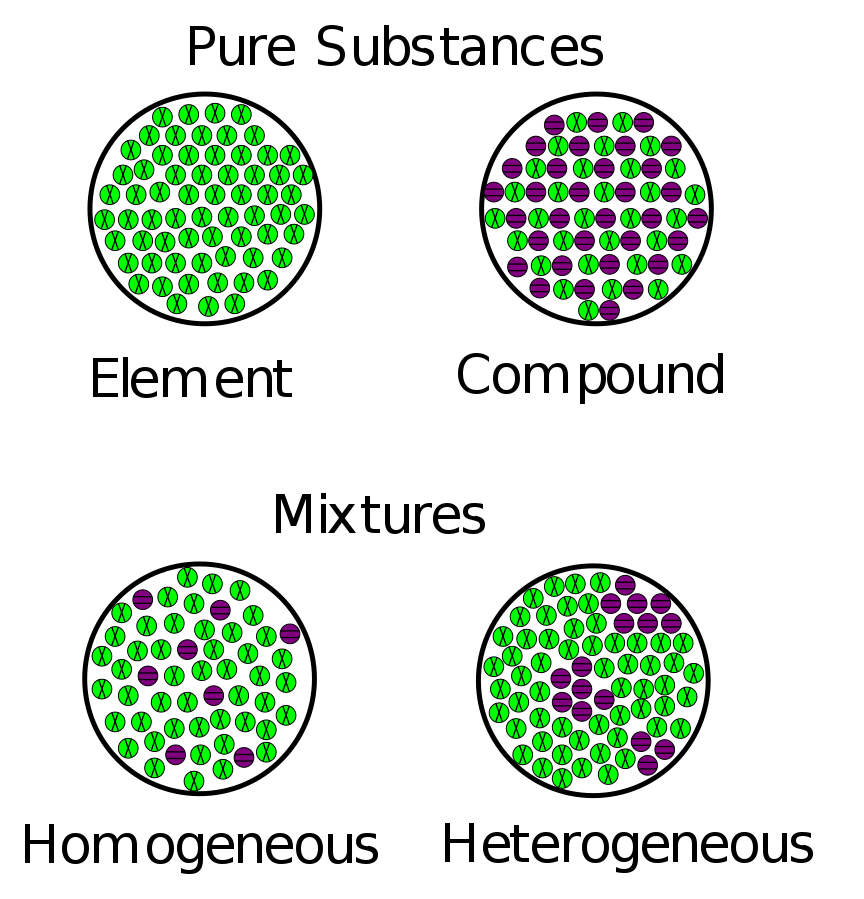 Homogenous - Definition and Examples - Biology Online Dictionary
