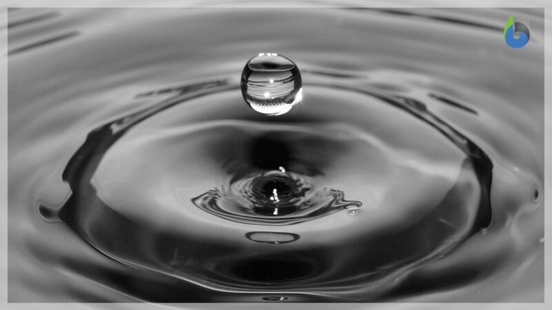 Hydrophilic - Definition and Examples - Biology Online Dictionary