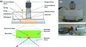 In situ Definition and Examples - Biology Online Dictionary