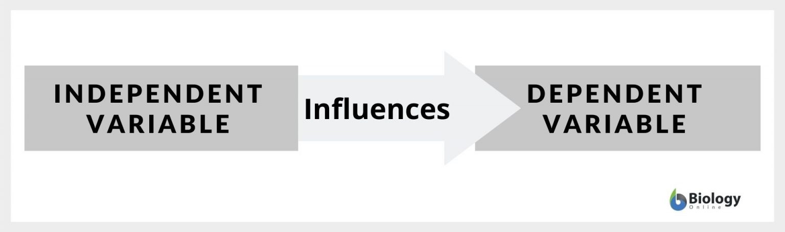 Independent variable - Definition and Examples - Biology Online Dictionary