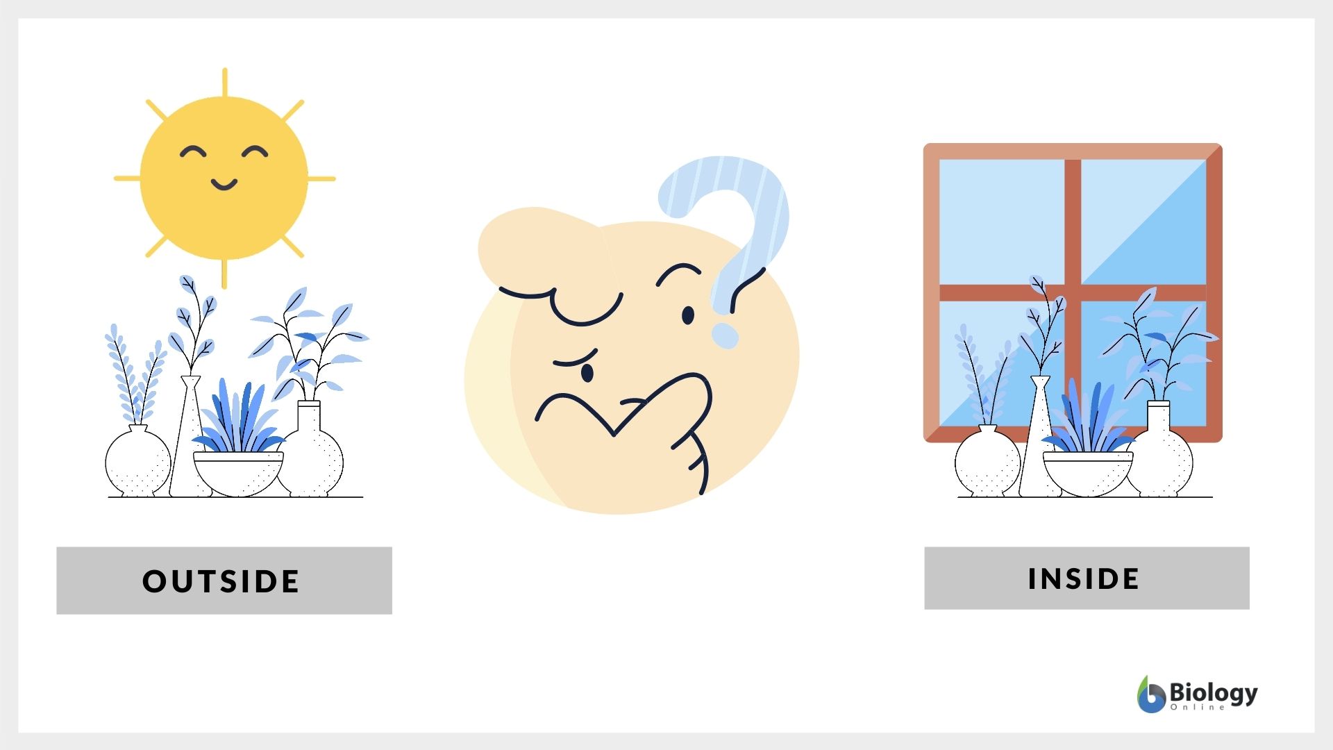 Independent variable - Definition and Examples - Biology Online Dictionary