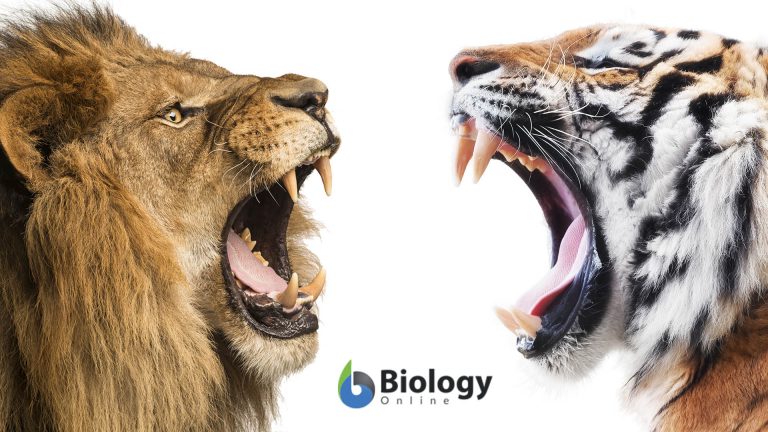 Interspecific competition Definition and Examples - Biology Online ...