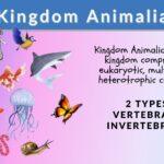 Kingdom Animalia Definition and Examples - Biology Online Dictionary