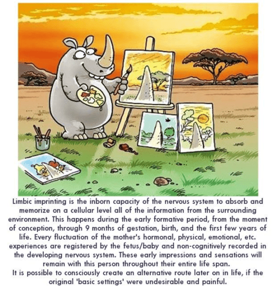 Imprinting - Definition and Examples - Biology Online Dictionary