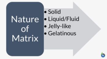 Matrix - Definition and Examples - Biology Online Dictionary