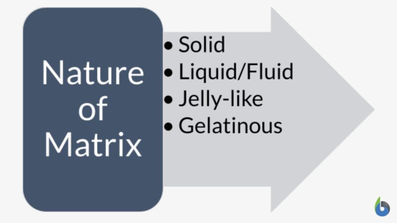 Matrix - Definition and Examples - Biology Online Dictionary