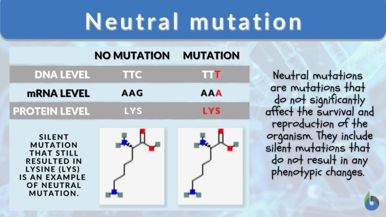 Neutral mutation - Definition and Examples - Biology Online Dictionary