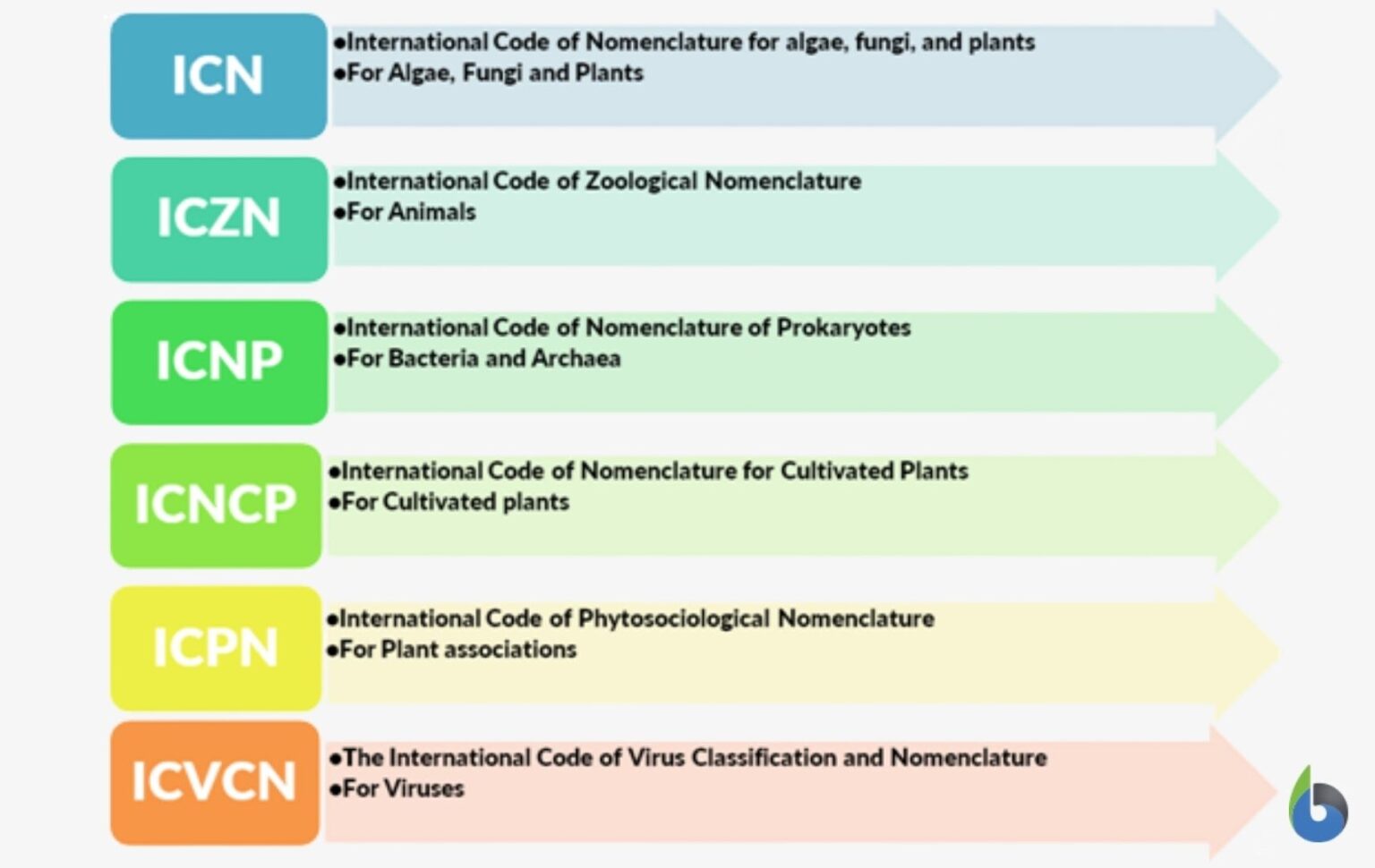 Taxon Definition and Examples - Biology Online Dictionary