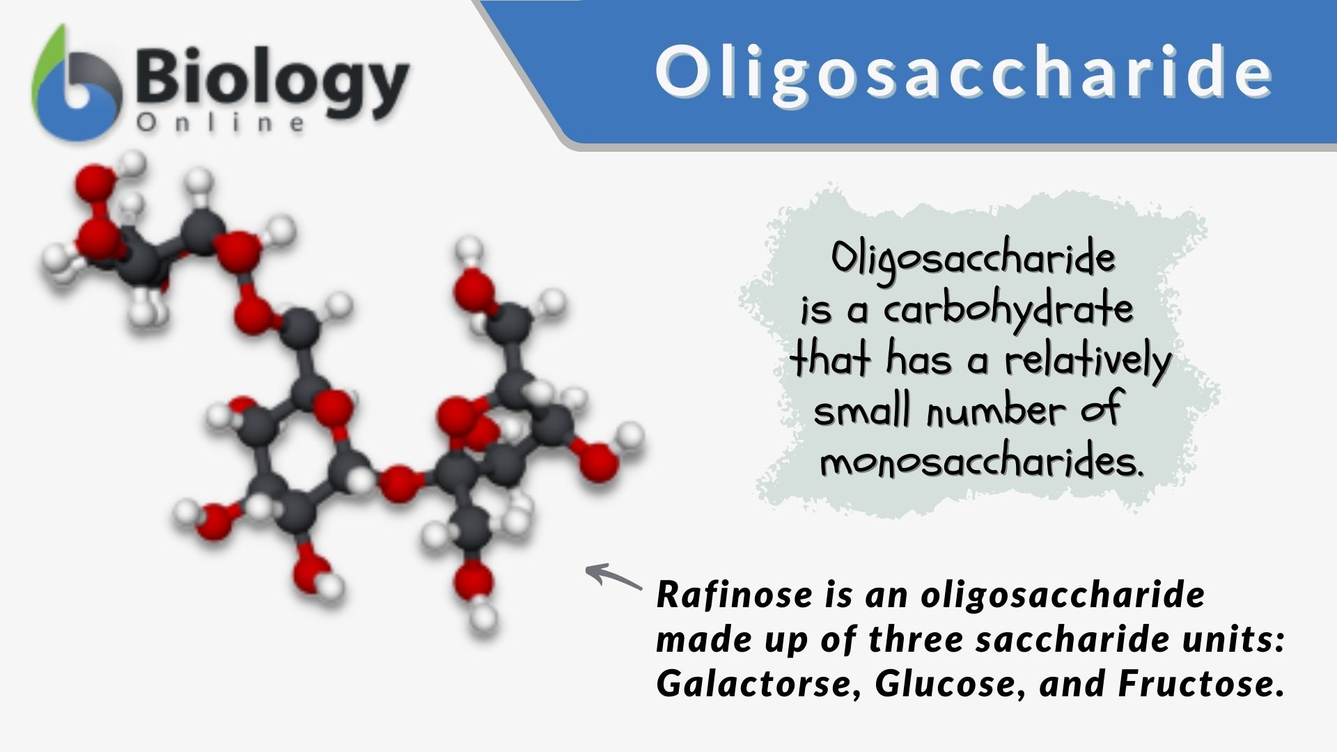 Oligosaccharide Definition And Examples Biology Online Dictionary