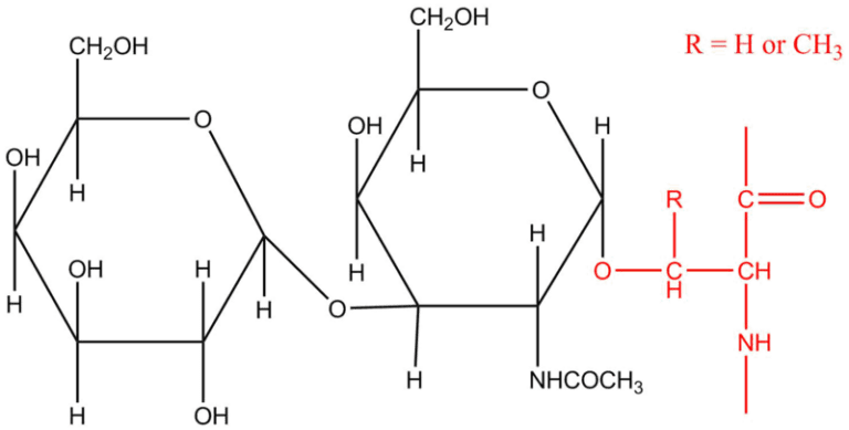 Saccharide Definition and Examples - Biology Online Dictionary