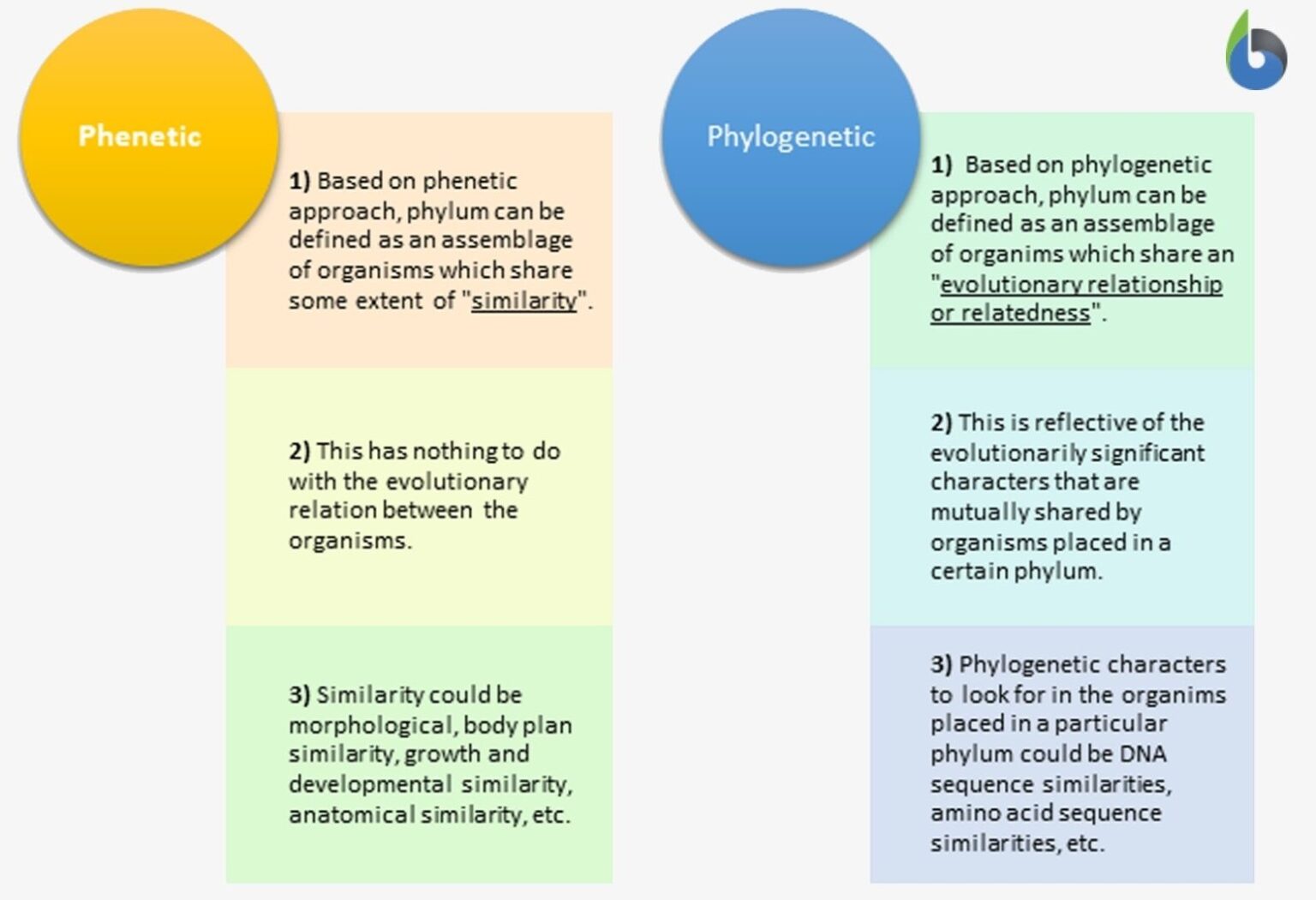 Phylum - Definition and Examples - Biology Online Dictionary